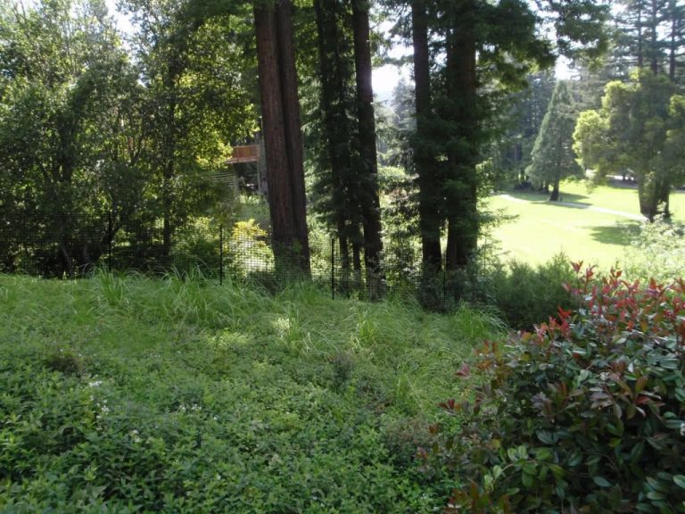 Design Elements - Jerry Allison Landscaping, Inc.